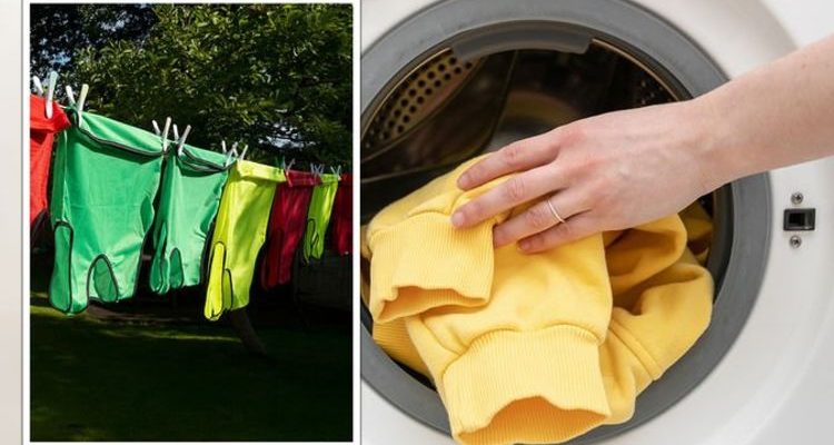 Cleaning expert shares nifty white vinegar hack for washing gym clothes ...