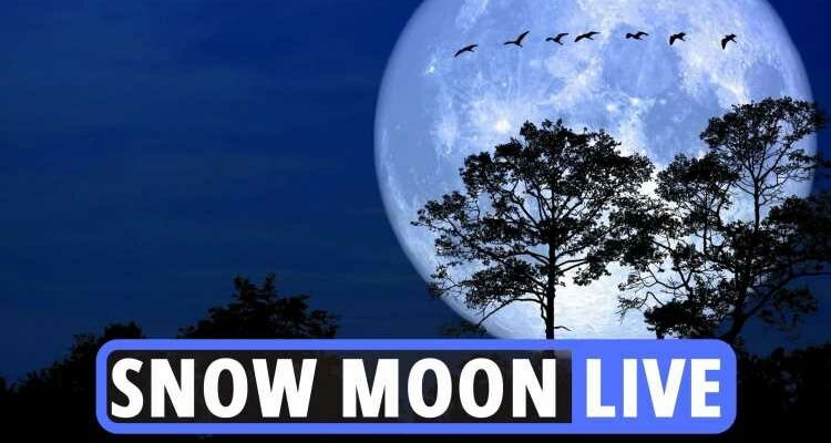 Full Moon February 2022 - Incredible Snow Moon visible in UK sky THIS ...