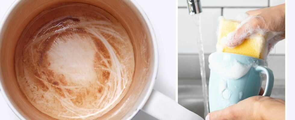 ‘Mugs are sparkling!’ 10p hack to remove tea cup stains ‘in minutes ...
