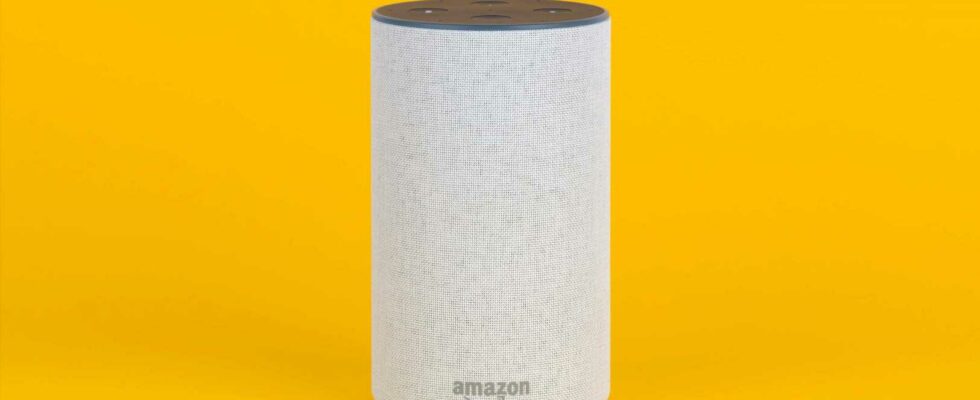 Urgent Amazon Alexa warning for ALL parents as new danger revealed ...