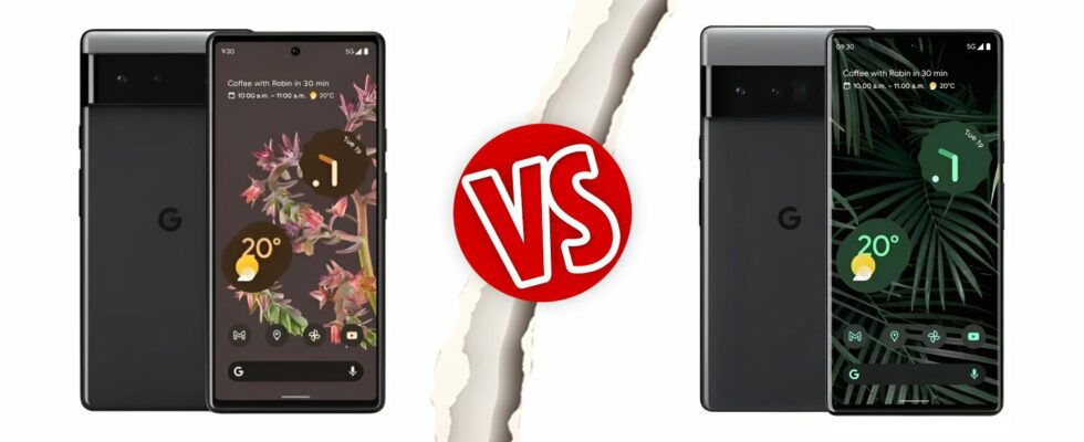 Google Pixel 6 vs Pixel 6 Pro | The Sun - FNTalk.com