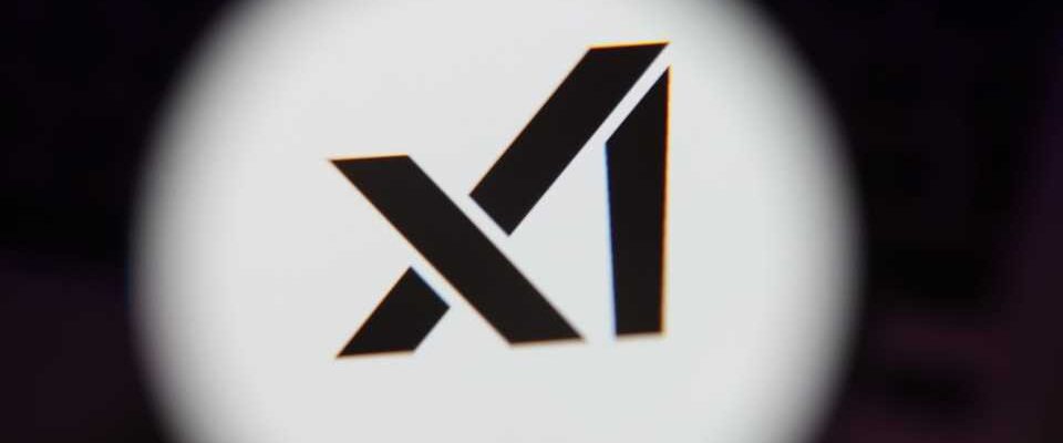 People are just realizing Elon Musk’s new xAI logo has ‘hidden secret ...